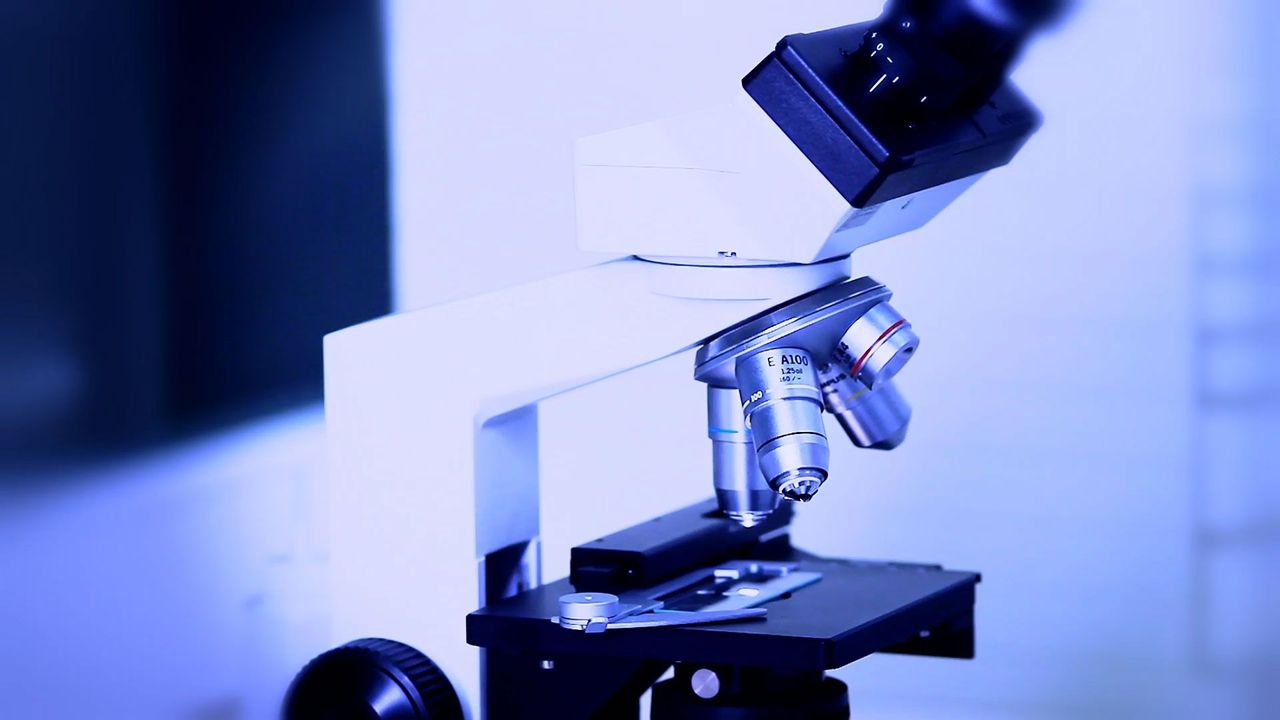 The insurance lab of the world | Captive International